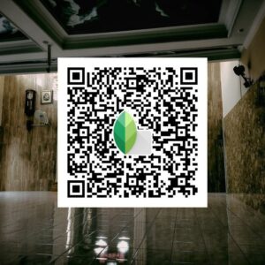 Best Snapseed QR Codes Aesthetic Backgrounds & HD 4K Edits